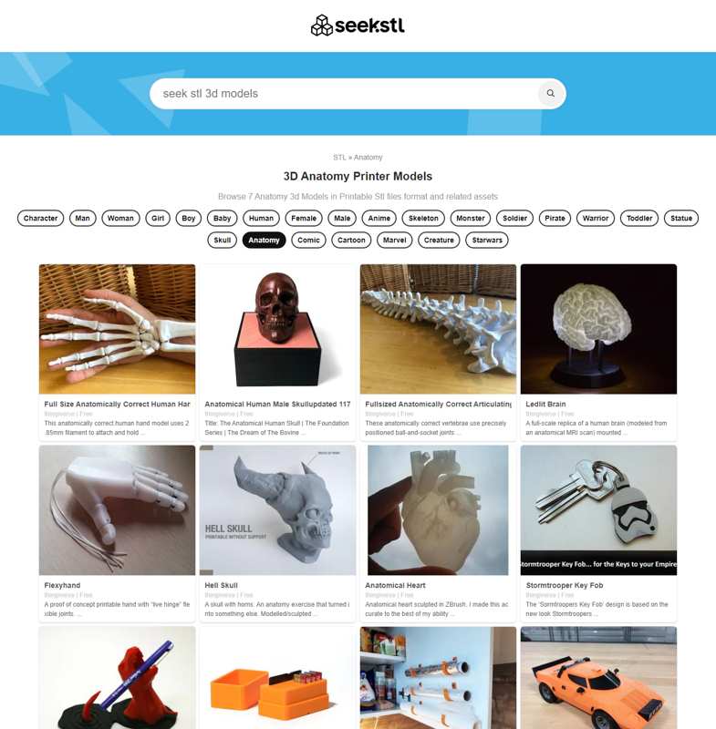 Anatomy 3D Printer Files - STL 3D Models - SeekStl